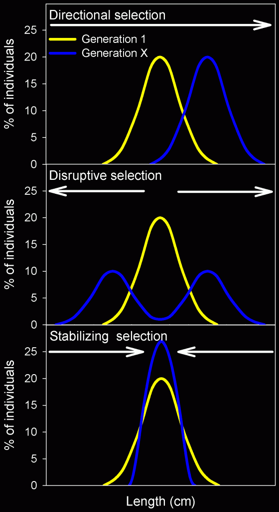 Evolutionary mechanisms part 4: Natural selection | The Logic of Science